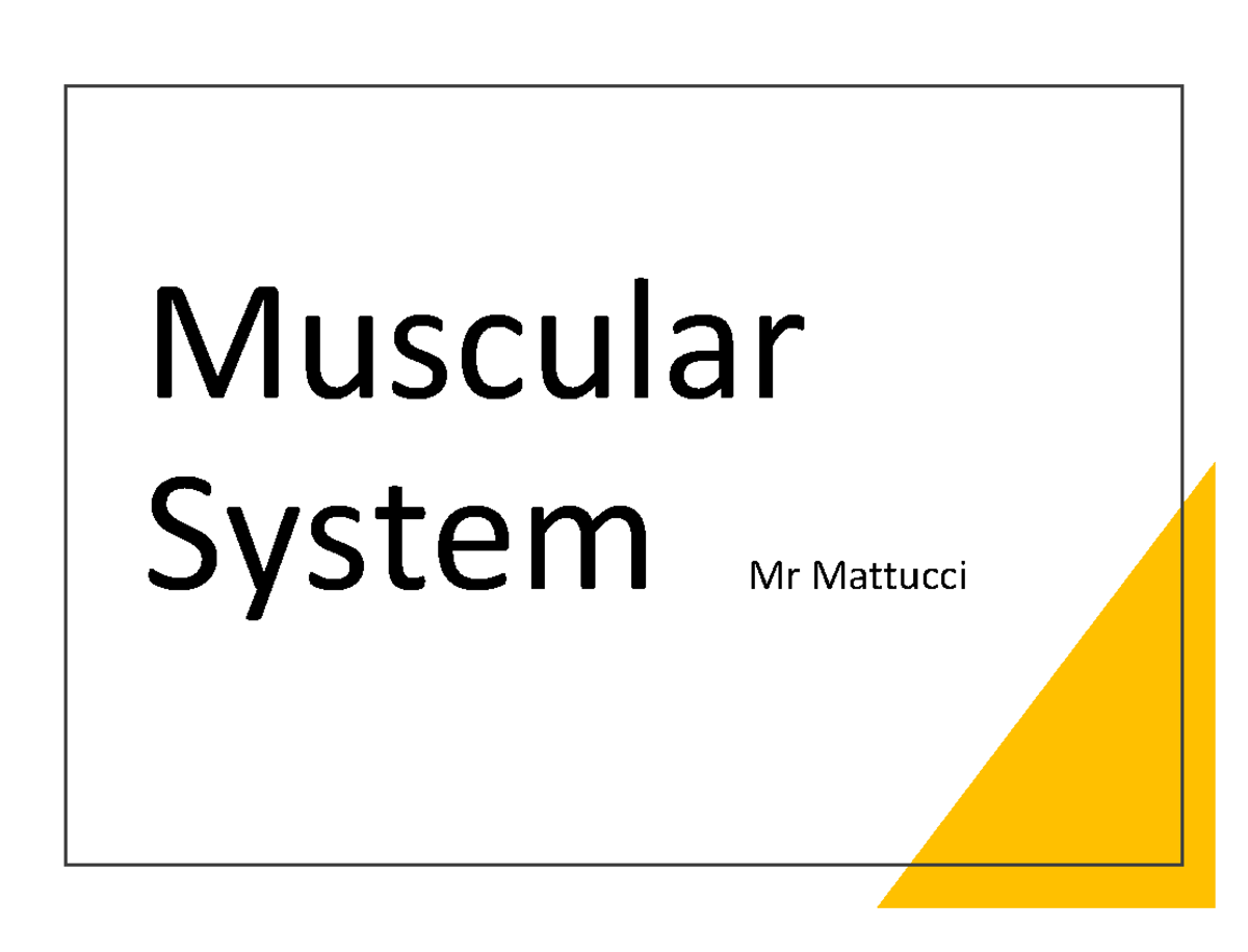 PDF document 7 - Use it - Muscular System Mr Mattucci Intro There are ...