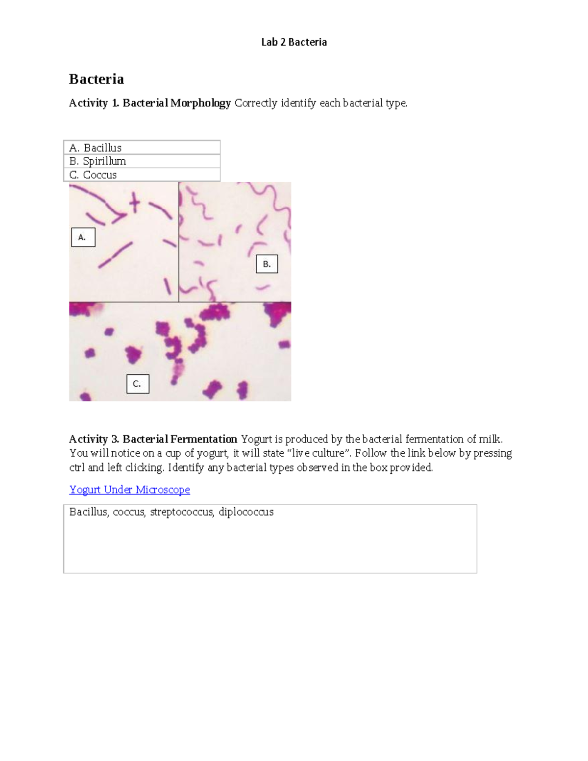 Lab 2 Bacteria - Based off completion but got correct answers ...