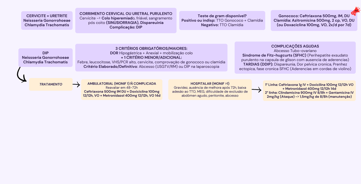Tabela Cervicite uretrite dip - CERVICITE = URETRITE Neissseria ...