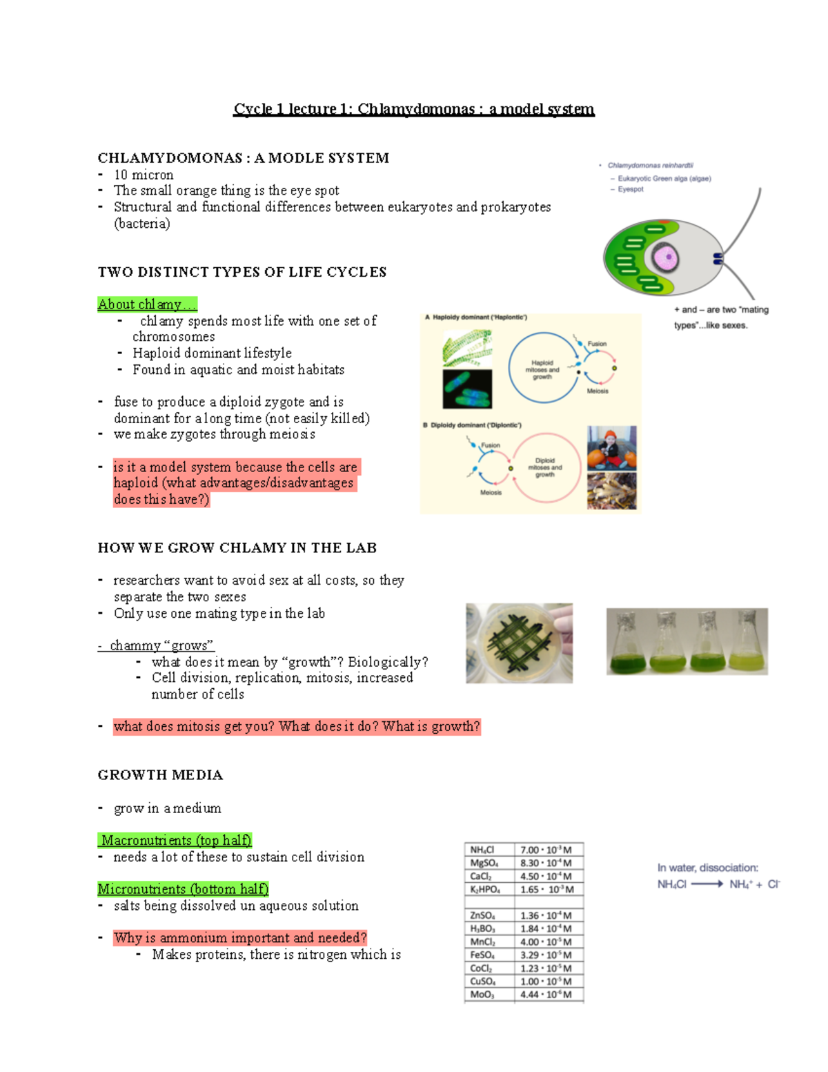 cycle 1 lecture 1- Chlamydomonas - Cycle 1 lecture 1: Chlamydomonas : a ...
