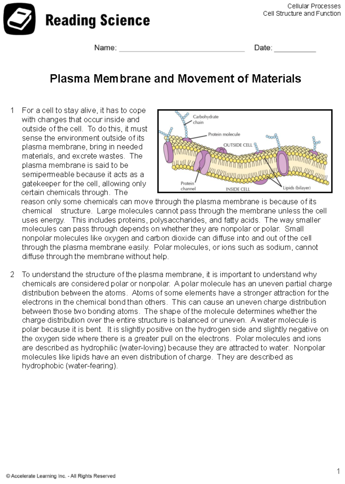 Cell membrane reading - Cell Structure and Function Plasma Membrane and ...