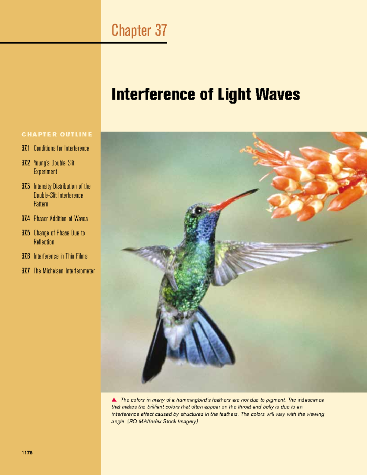 Interference of Light Waves - The iridescence that makes the brilliant ...