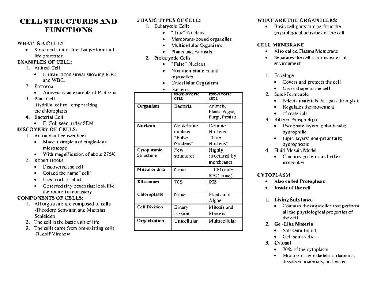 CELL Structures AND Functions - CELL STRUCTURES AND FUNCTIONS WHAT IS A ...