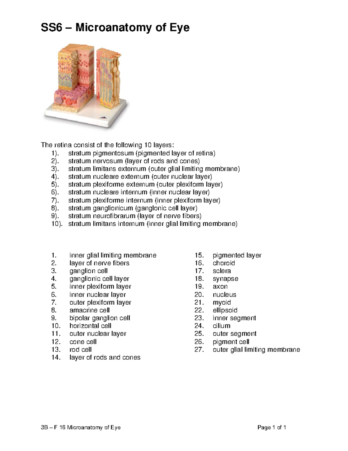 microanatomy of the eye - The retina consist of the following 10 layers ...