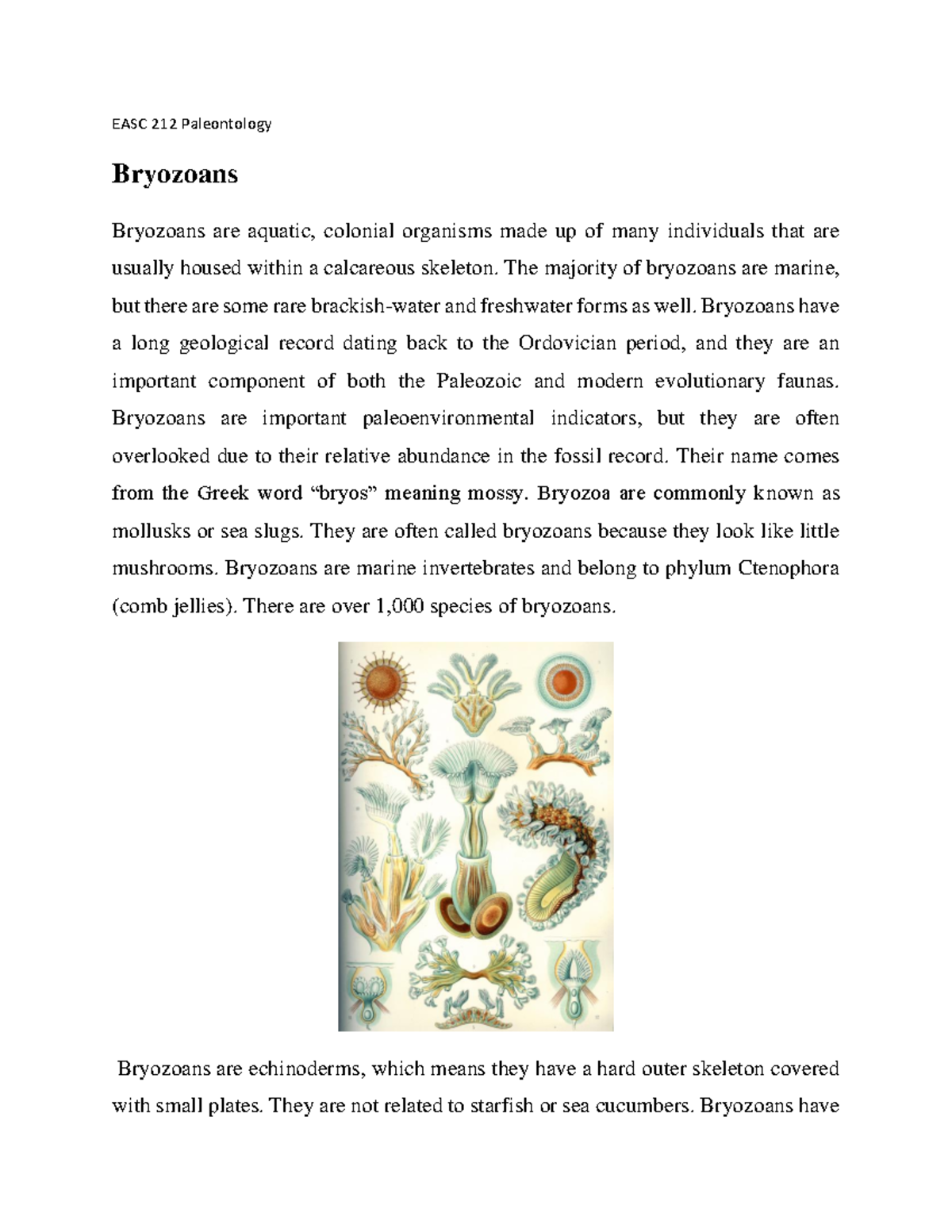 Bryozoans notes - EASC 212 Paleontology Bryozoans Bryozoans are aquatic ...