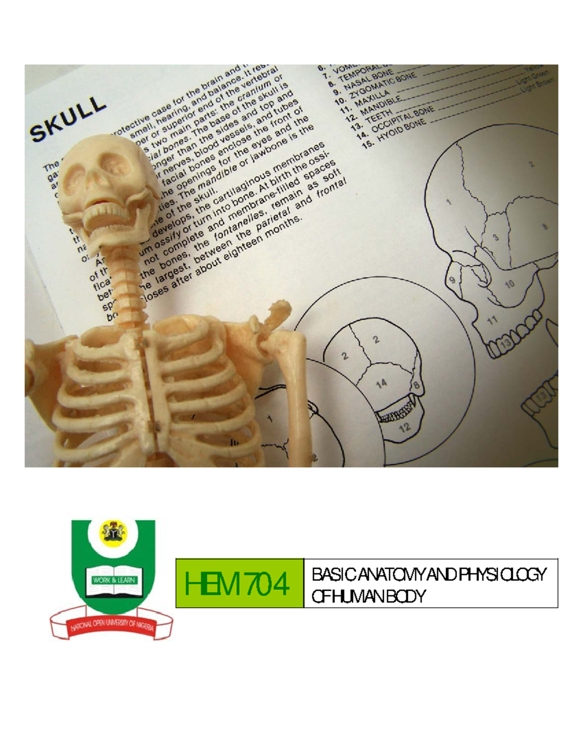 Hem 704 - Anatomy of human body - HEM 704 BASIC ANATOMY AND PHYSIOLOGY ...