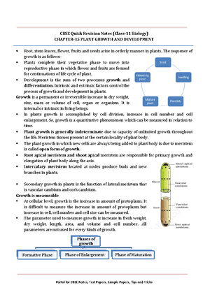 11 biology notes ch05 morphology of flowering plants - CBSE Quick ...