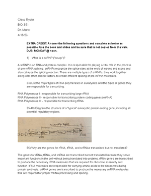 Photosynthesis Pogil - Key - BIOL 412 - Studocu