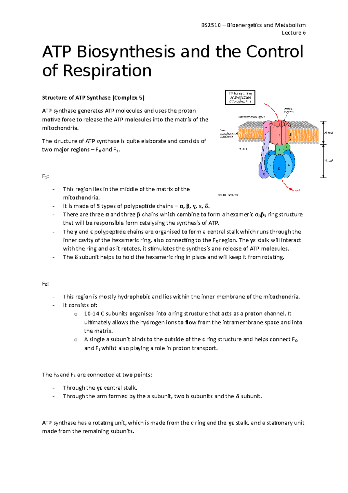 6 - ATP Biosynthesis and the Control of Respiration - BS2510 ...