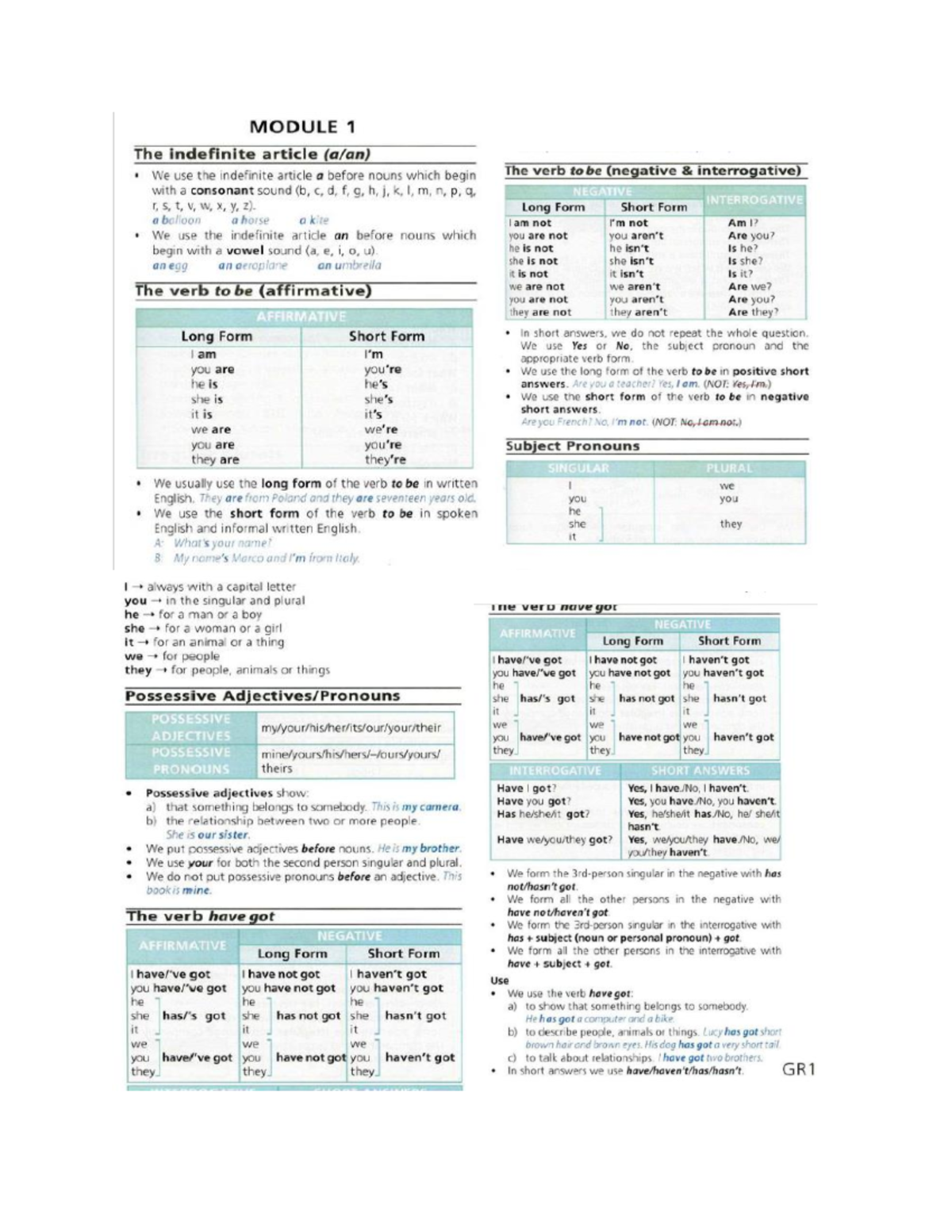 Grammar Module 1 - MODULE 1 The indefinite article We use the ...