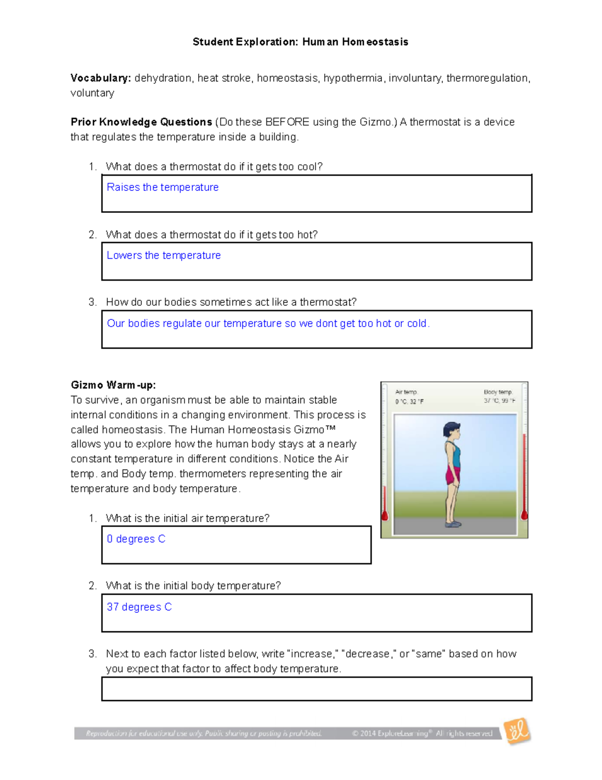 Copy of Gizmos Human Homeostasis Activity - Vocabulary: dehydration ...