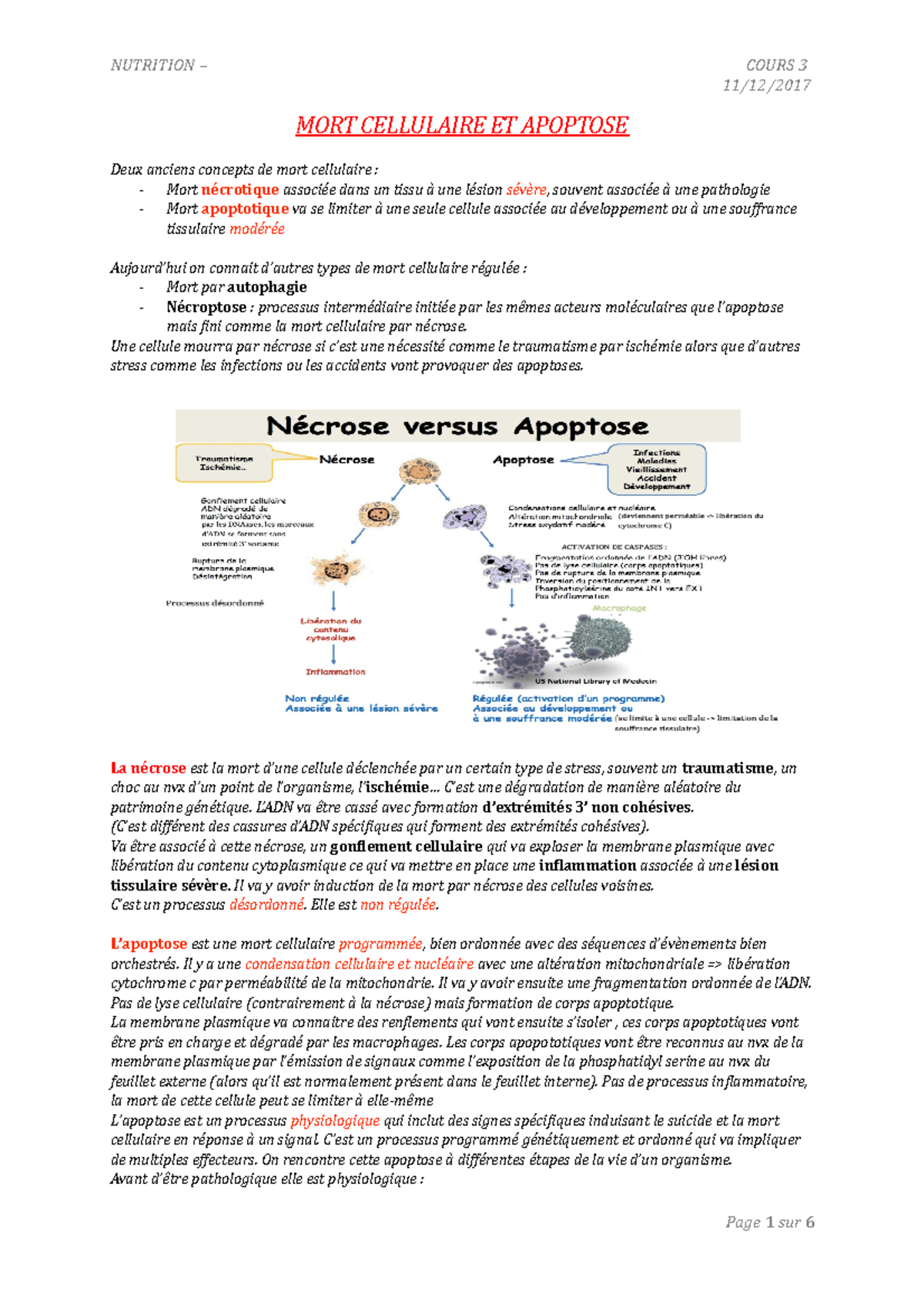 C11 - Mort cellulaire et apoptose - 11/12/ MORT CELLULAIRE ET APOPTOSE ...