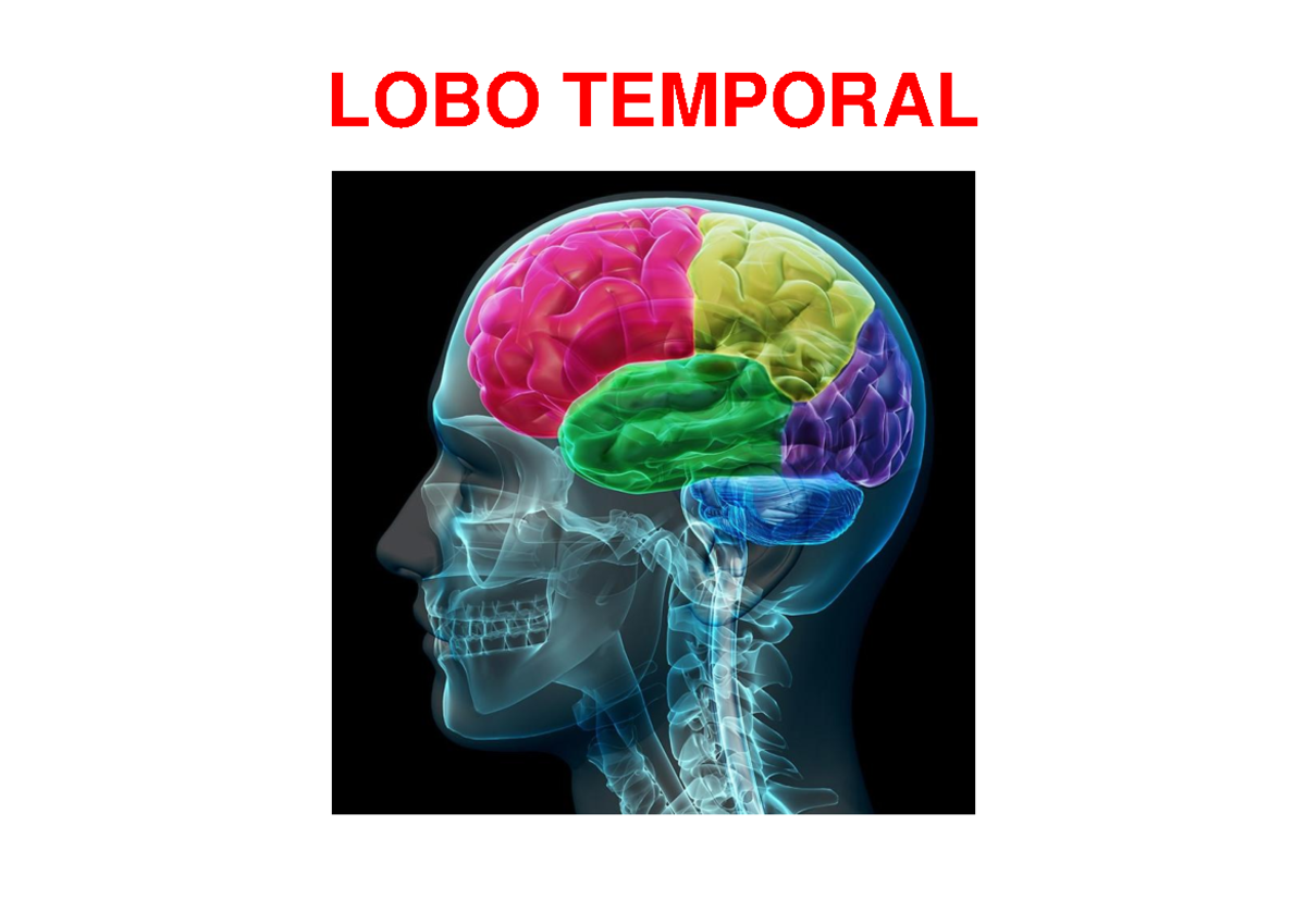 LOBO Temporal - Resumo Introdução À Enfermagem - LOBO TEMPORAL Lobo ...