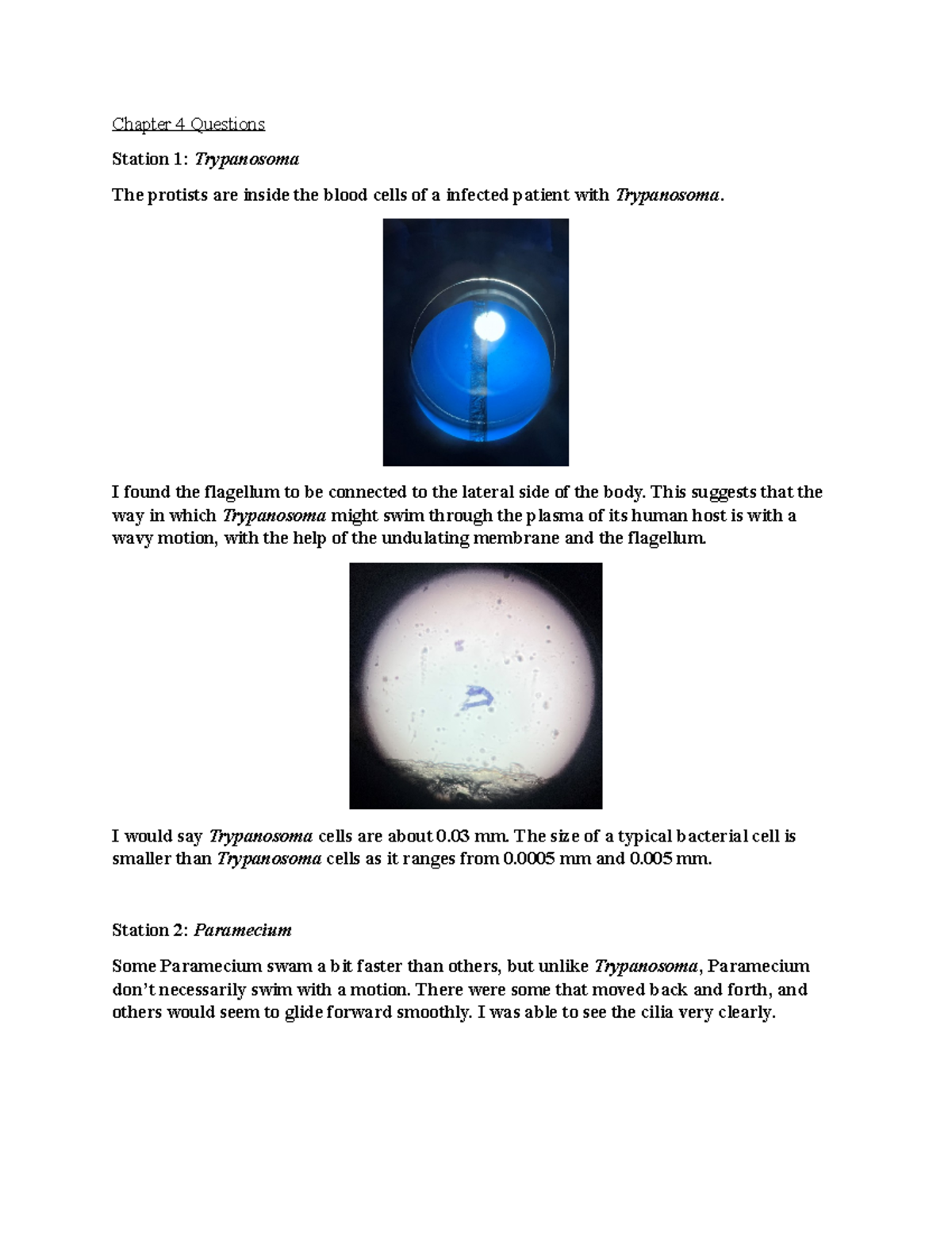 Week 7 Notebook Chapter 4 Questions - Chapter 4 Questions Station 1 ...