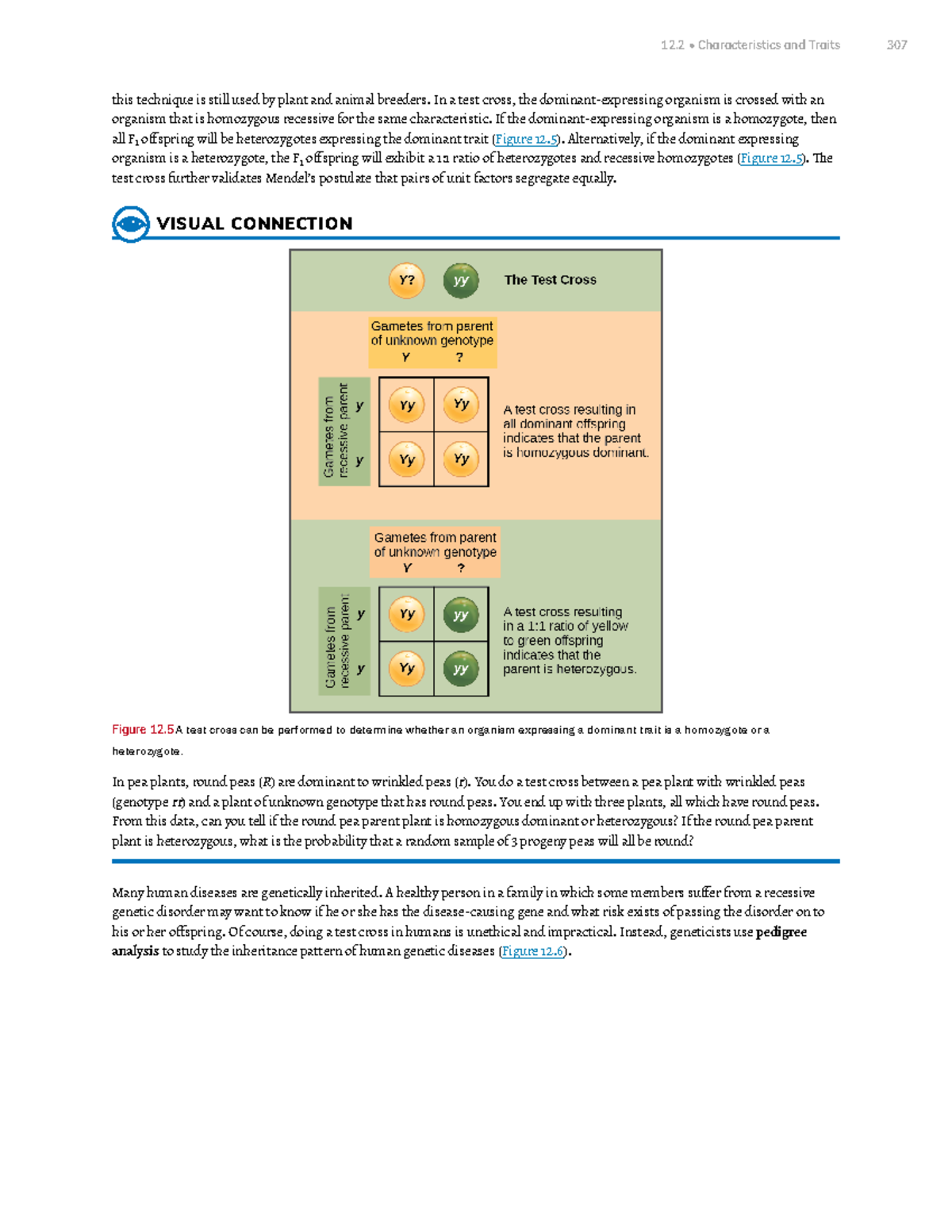 Chapter 12 Mendel's Experiments and Heredity Part 5 - this technique is ...