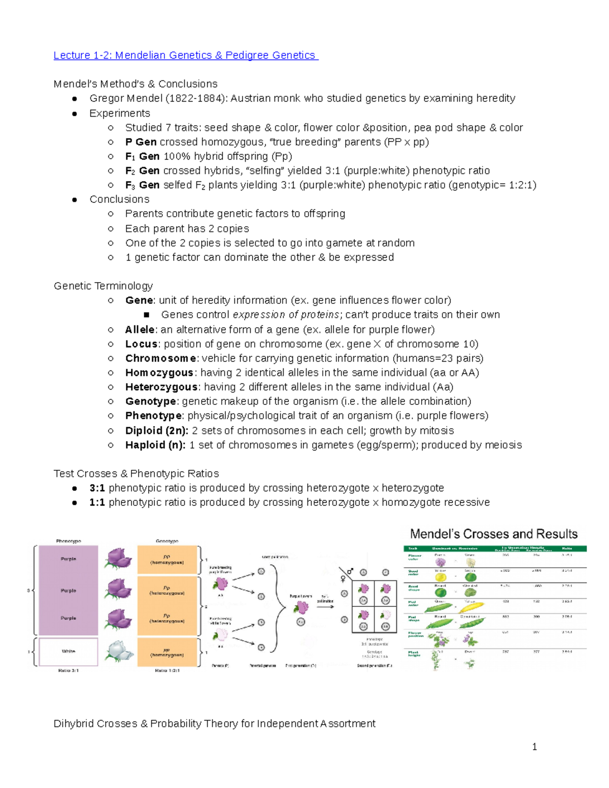 Bio 1108 Exam 1 - BIOL1108 - Lecture 1-2: Mendelian Genetics & Pedigree ...