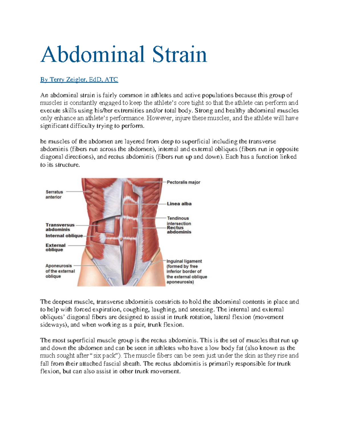 Abdominal Strain - Notes. - Abdominal Strain By Terry Zeigler, EdD, ATC ...