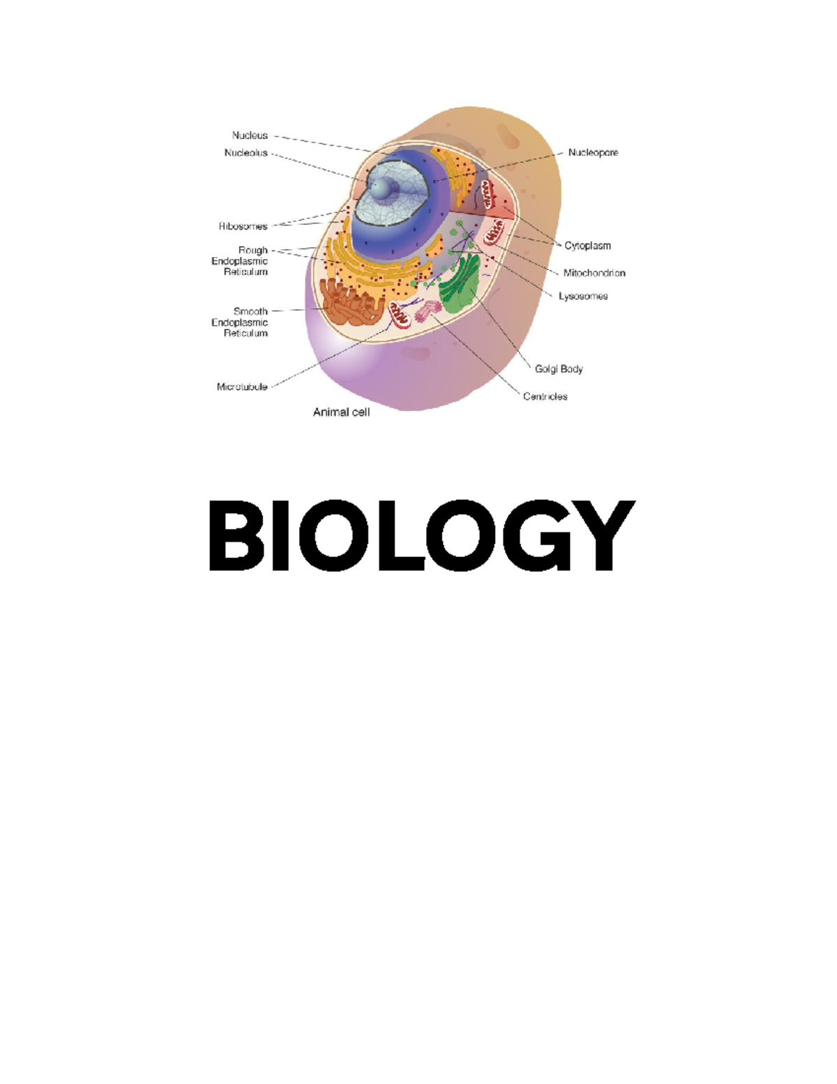 Biology year 12 - info - BIOLOGY MODULE 5: HEREDITY Fertilisation ...