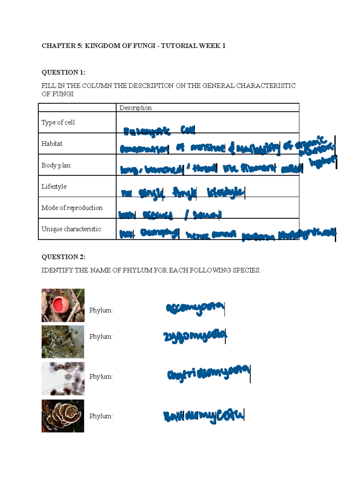 Tutorial 1 Chapter 5 - hope it helps ppl cuz it does help me too so yeh ...