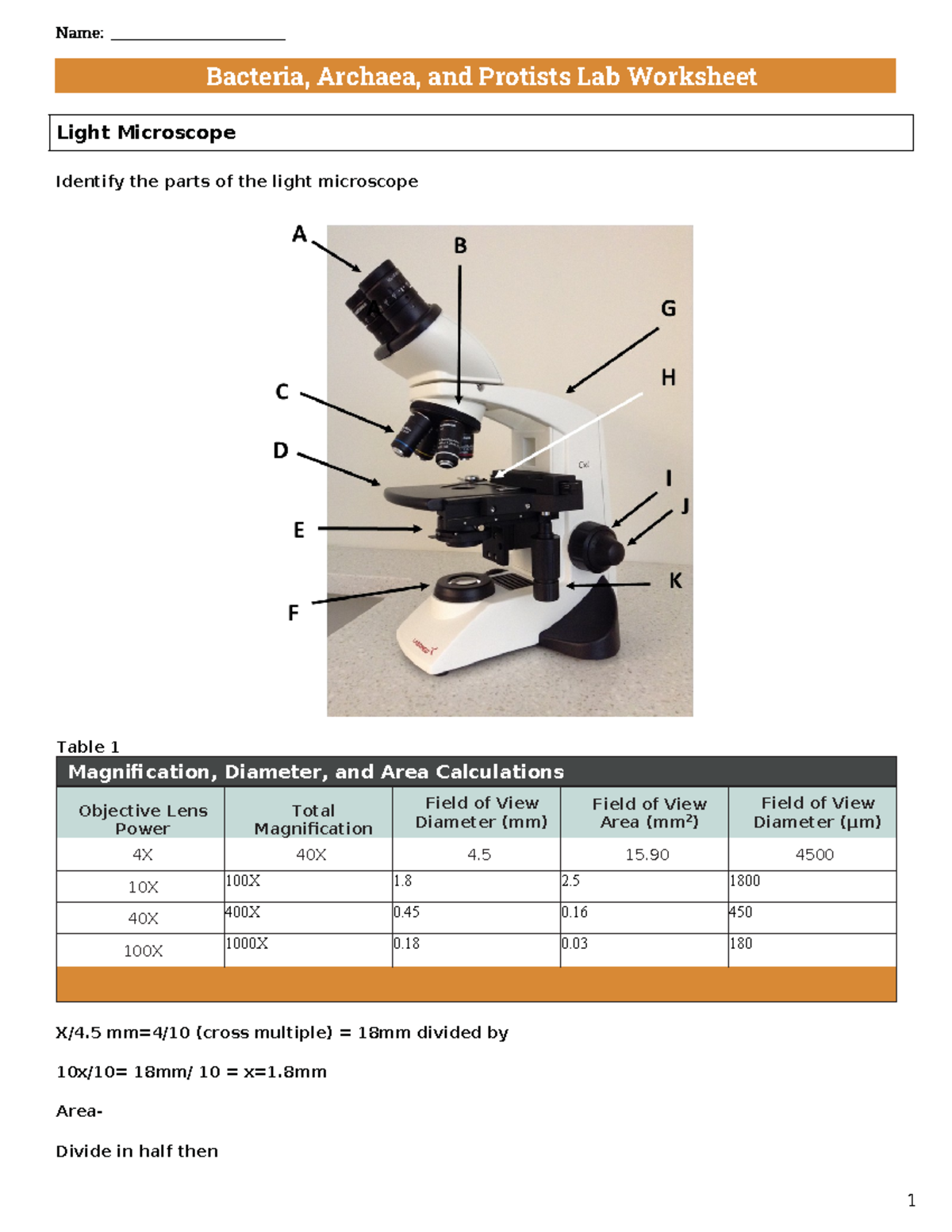 Worksheet Bacteria Protists - Bacteria, Archaea, and Protists Lab ...