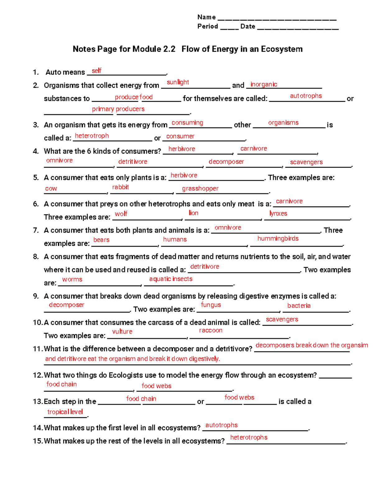 Kami Export - SEAN Campbell - Notes Page for Module 2.2 Flow of Energy ...