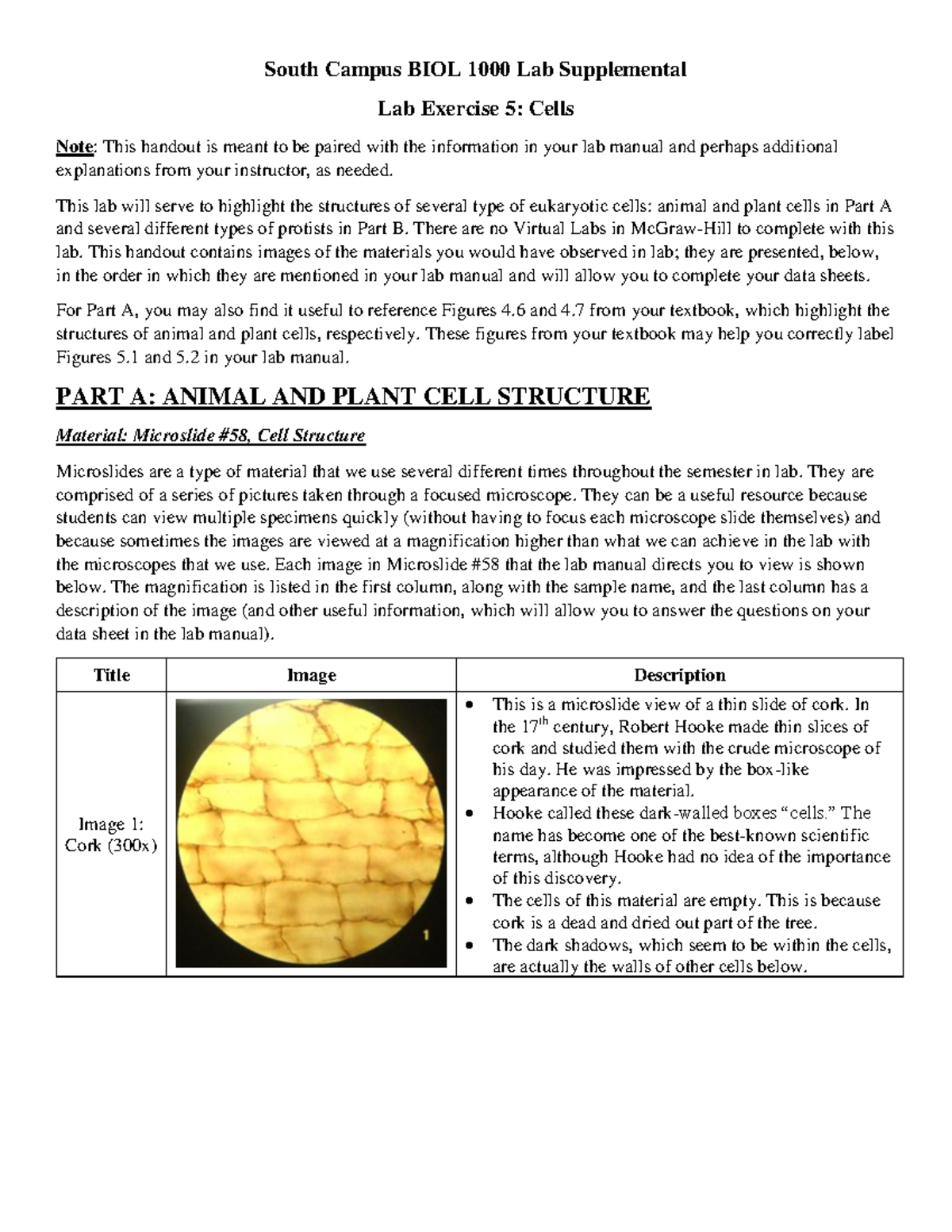 BIOL 1000 Ex05 (Cells) Handout F20 - South Campus BIOL 1000 Lab ...