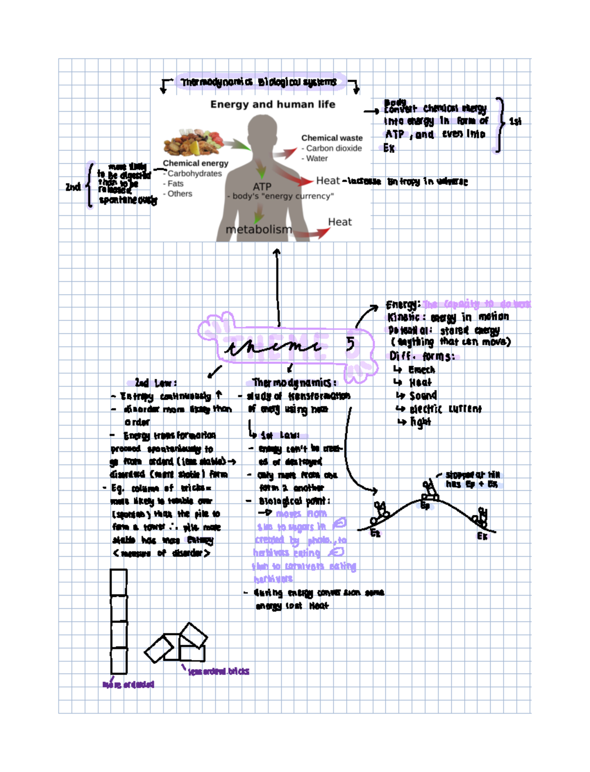 A Summary of unit 5-7 - MLB 111 - Studocu