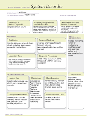 ATI Systems Disorder template CVA - ACTIVE LEARNING TEMPLATES System ...