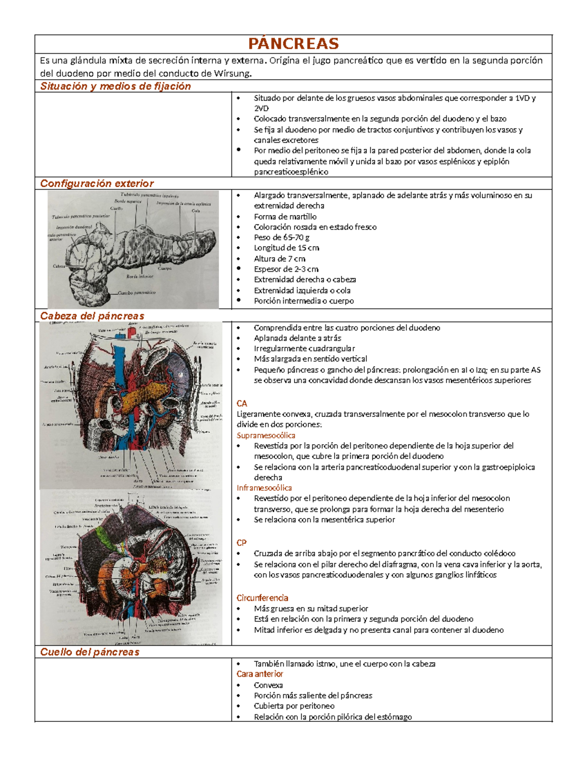 guia de pancreas - PÁNCREAS Es una glándula mixta de secreción interna ...