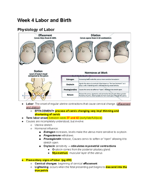Clinical final - Microbiology (GSBN 228) - Edit - NURSING CARE PLAN ...