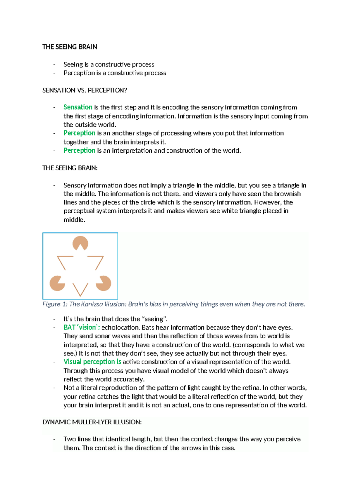 Visual Perception -1 - ... - THE SEEING BRAIN Seeing is a constructive ...