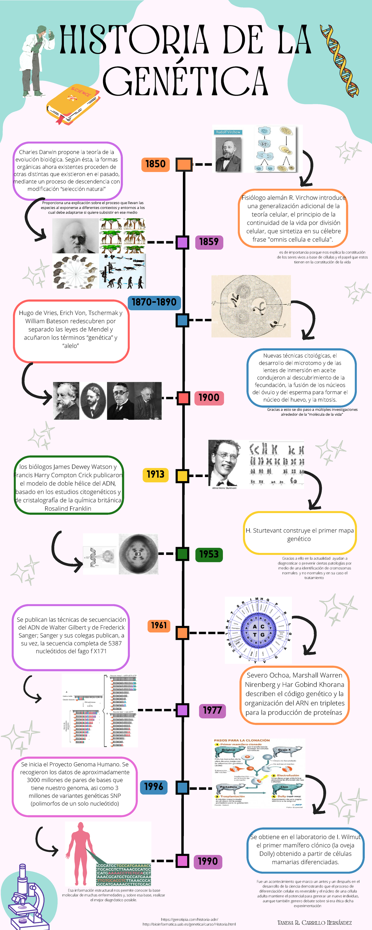 Descubrimientos Clave En La Historia De La Genética – JMPIE