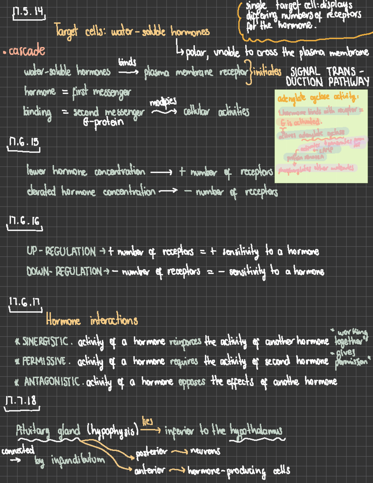 Chapter 17 - Endocrine System - single target cell : displays differing ...