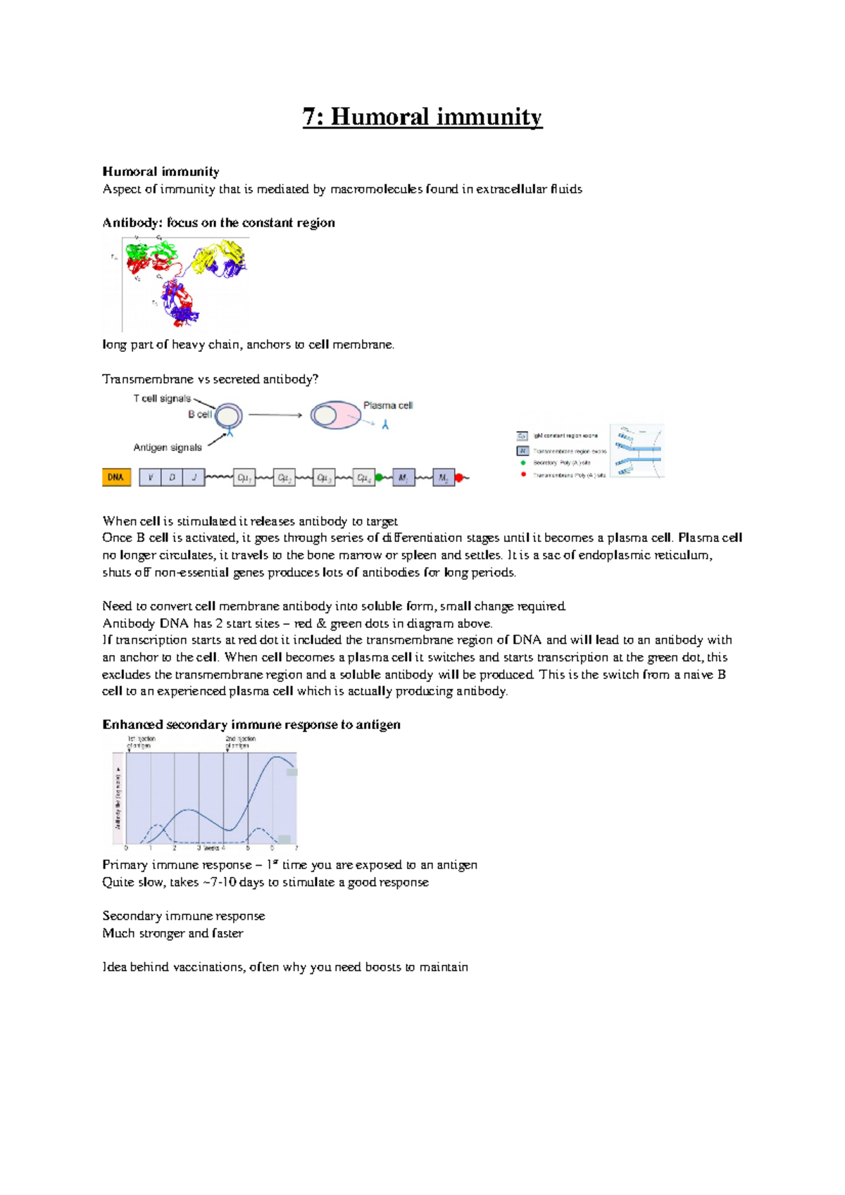 7 humoural immunity - Lecture notes 7 - 7: Humoral immunity Humoral ...