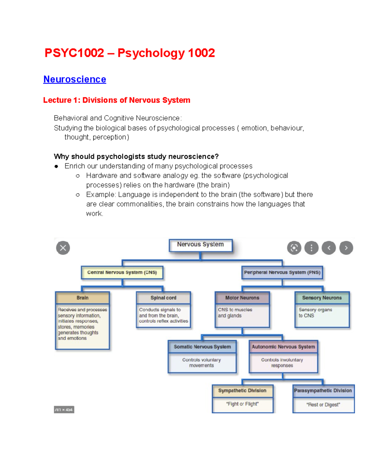 Psychology 1002 - Neuroscience - Notes - PSYC1002 – Psychology 1002 ...