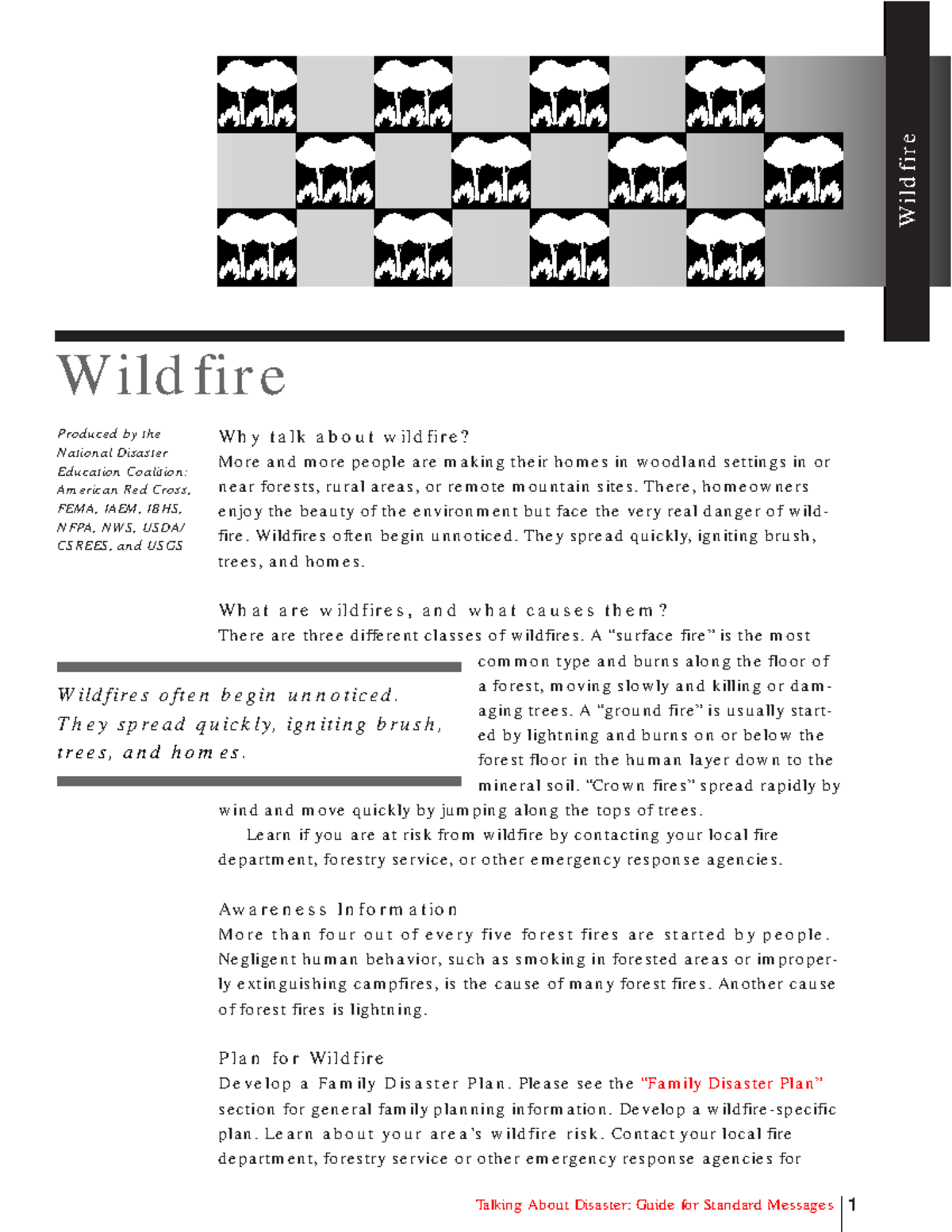 Wildfire - fire - Talking About Disaster: Guide for Standard Messages 1 ...