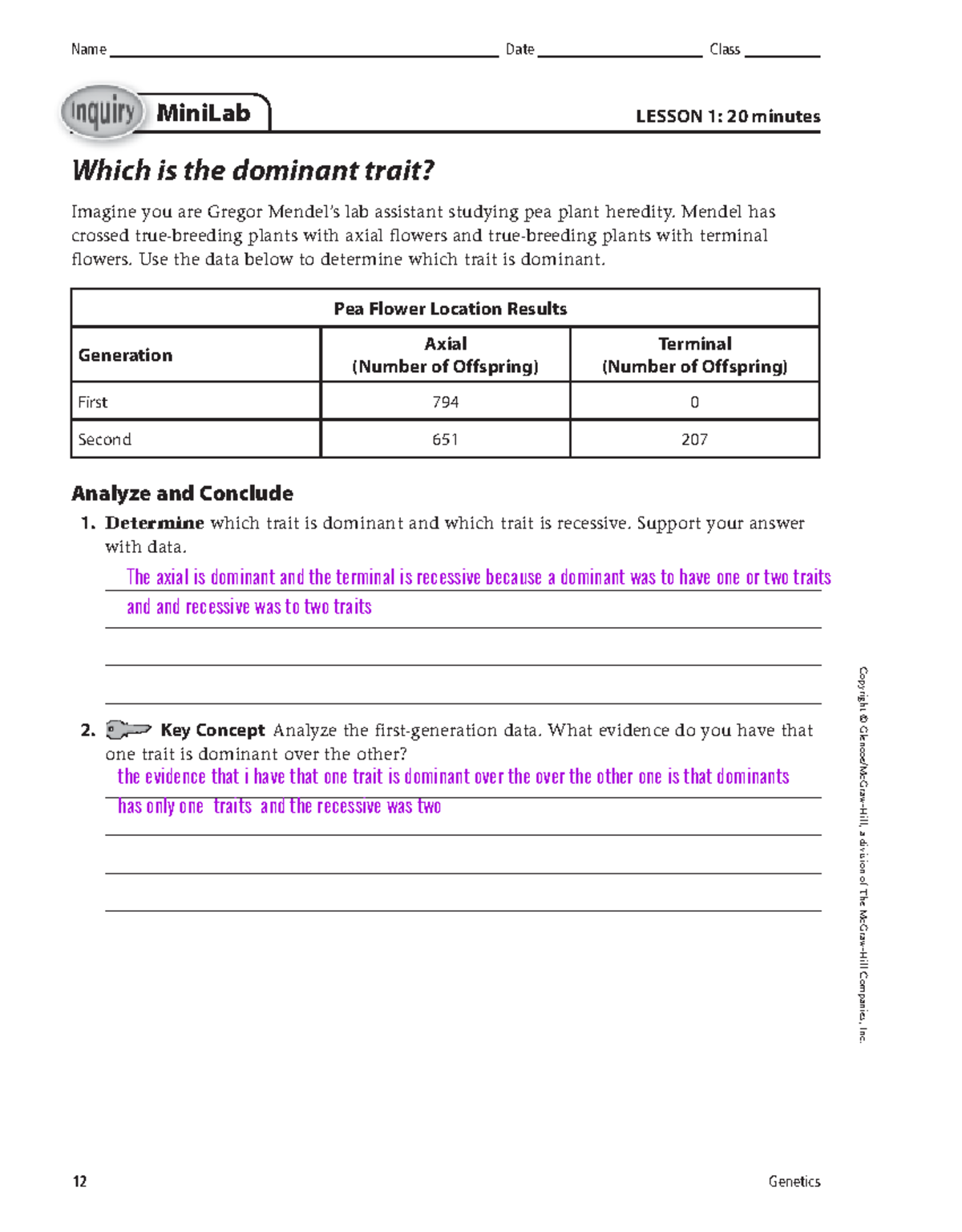 1212.1+Mini+Lab - Studocu