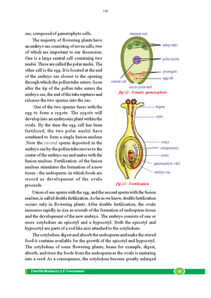 Living Environment Regents Review Sheet #2- Questions - Osmosis and ...