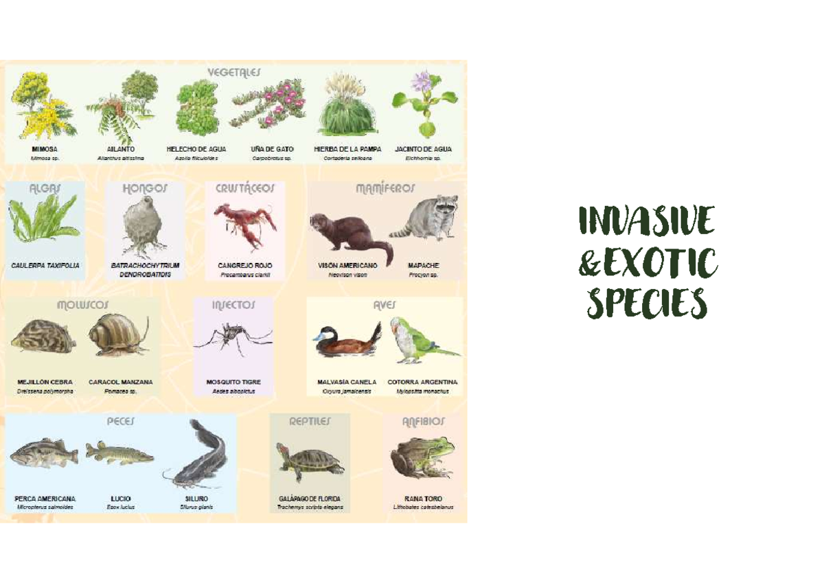 Invasive and exotic species - INVASIVE &EXOT IC SPECIES Definitions ...