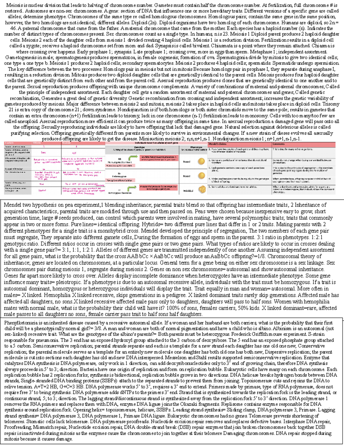 Bio Final Cheat Sheet - \ Mendel two hypothesis on pea experiment,1 ...
