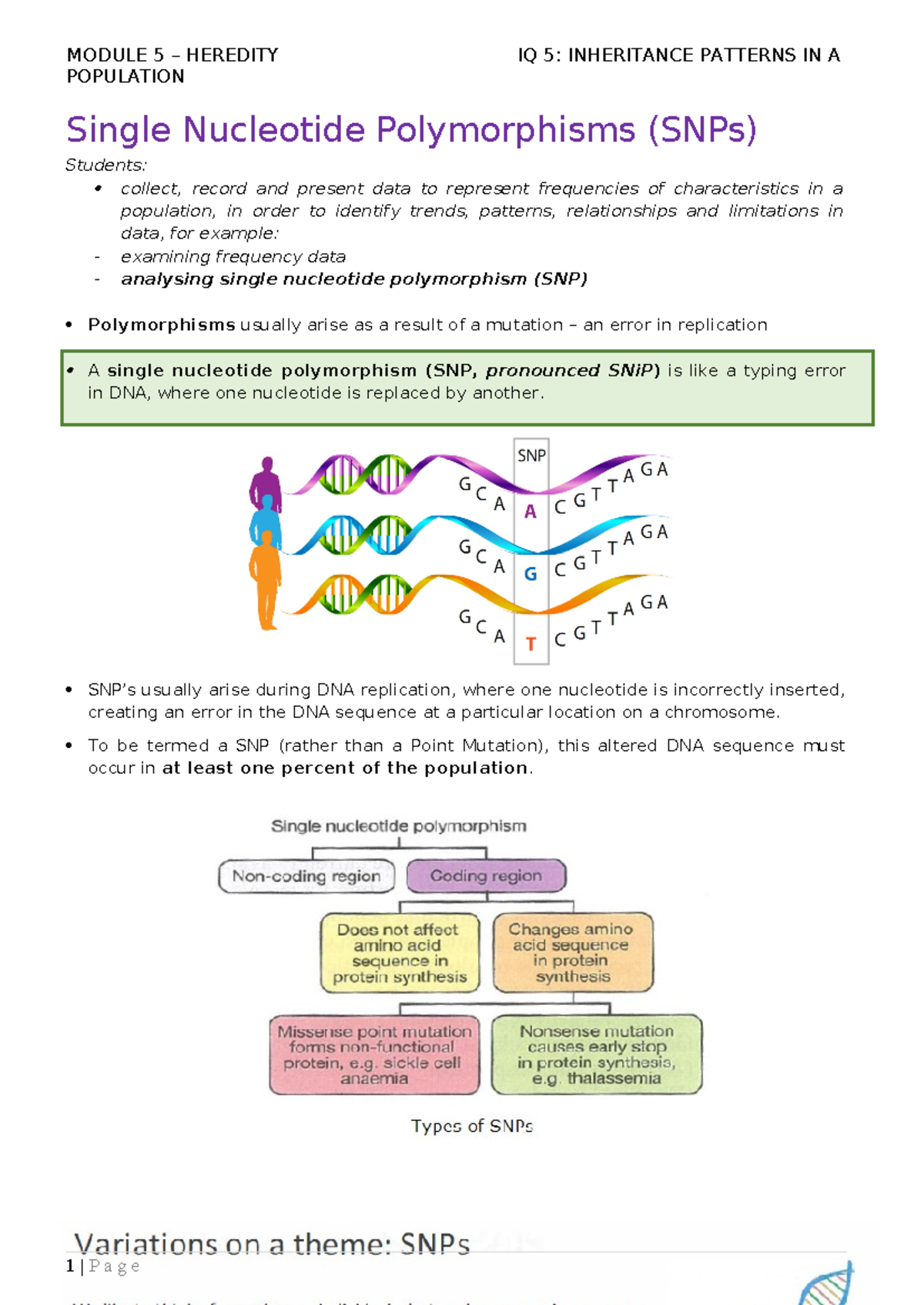 22a. Population Genetics - SNPs - POPULATION Single Nucleotide Polymorphisms (SNPs) Students ...