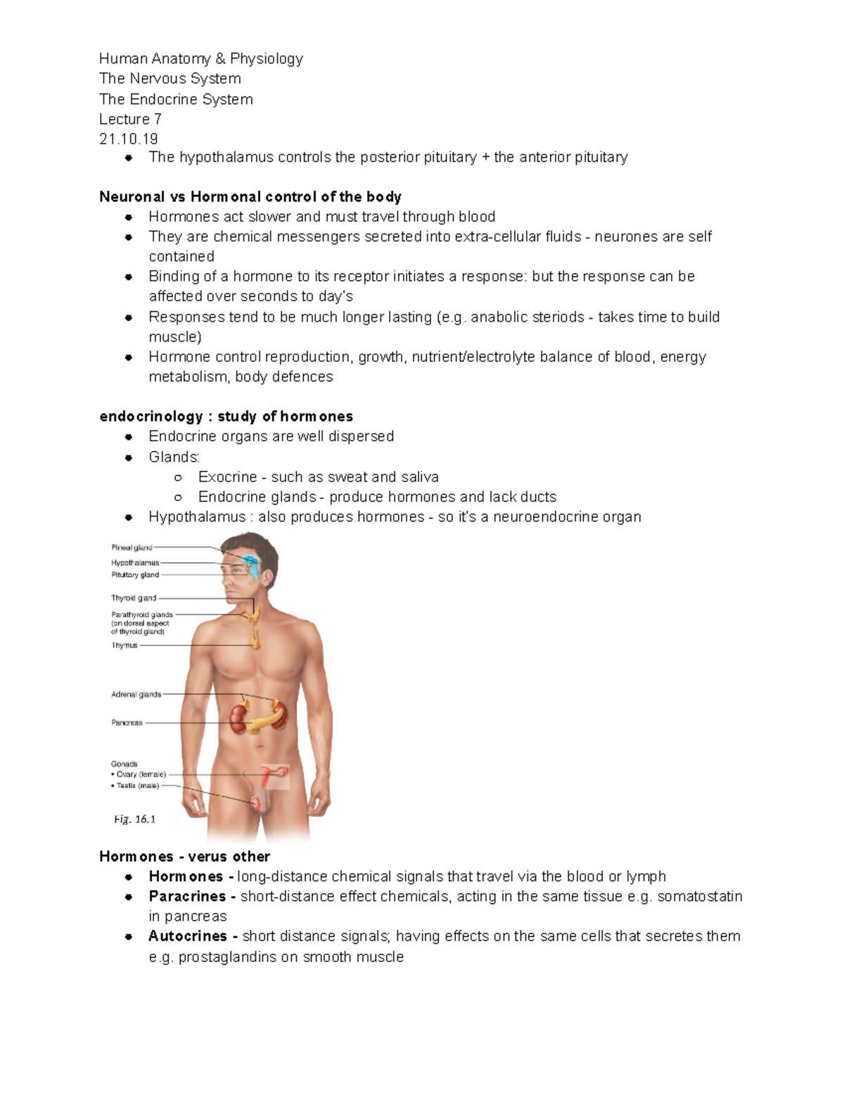 Lecture 9 The Nervous System - The Endocrine System - The Nervous ...