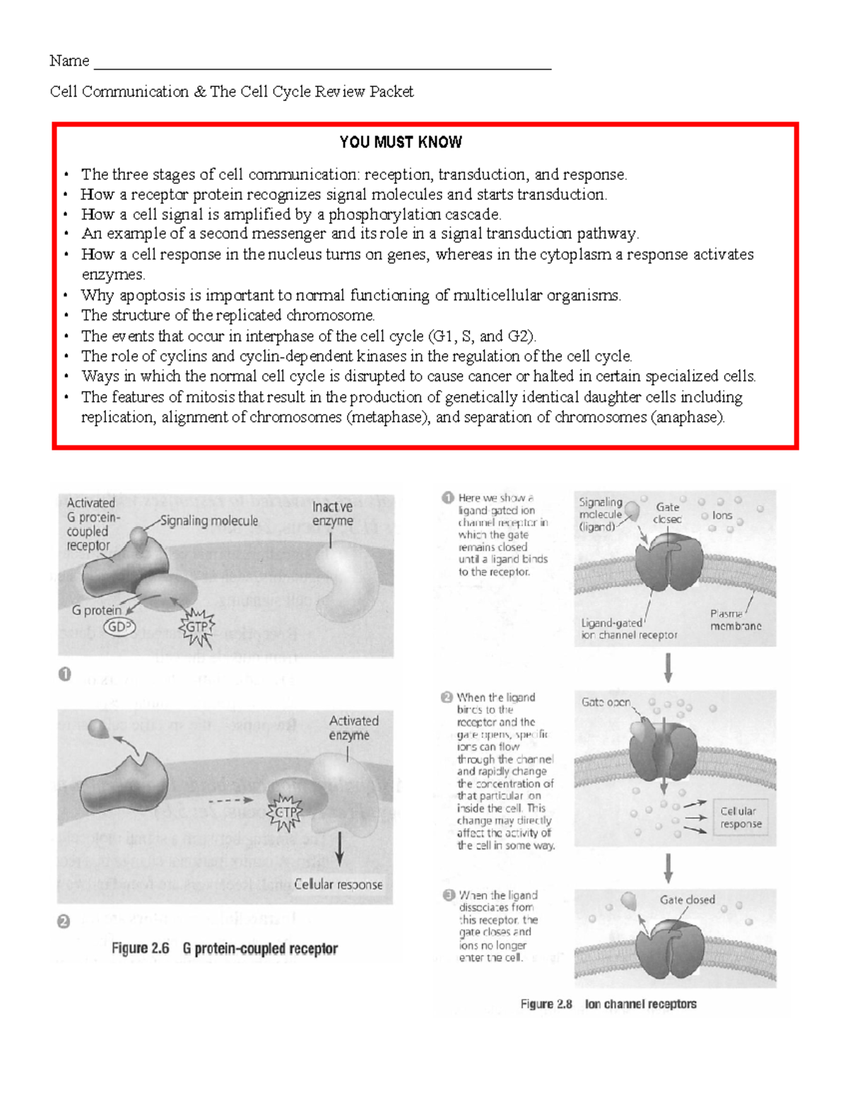Review for bio - Bio Notes - Name