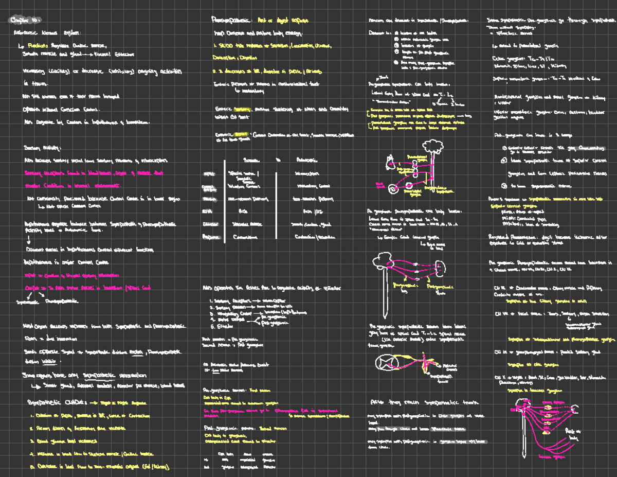 Midterm 2 - Chapter 15 : Parasympathetic : Rest or digest response ...