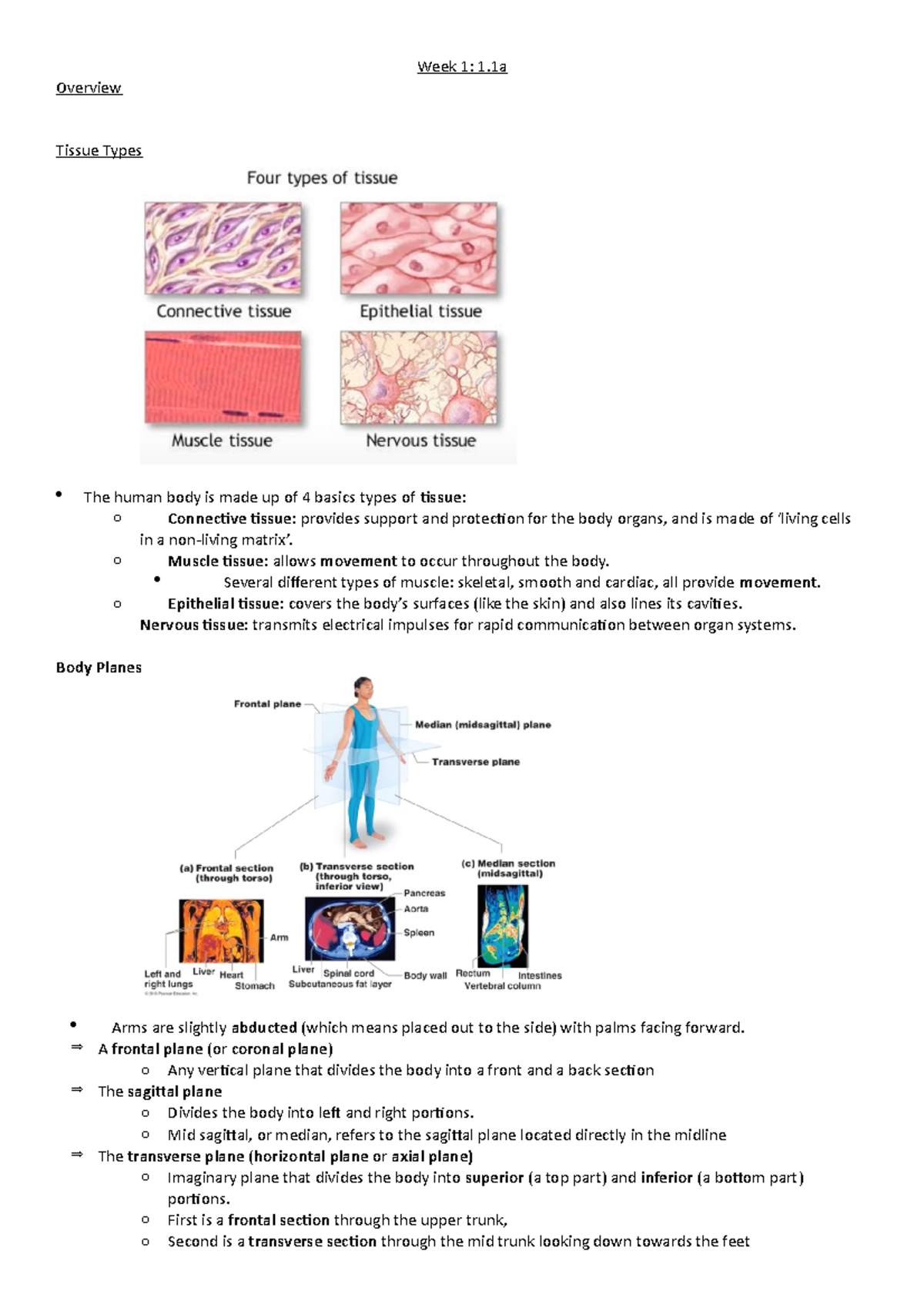 Msc1016 Anatomy notes W1-W4 midsem - Week 1: 1 Overview Tissue Types ...
