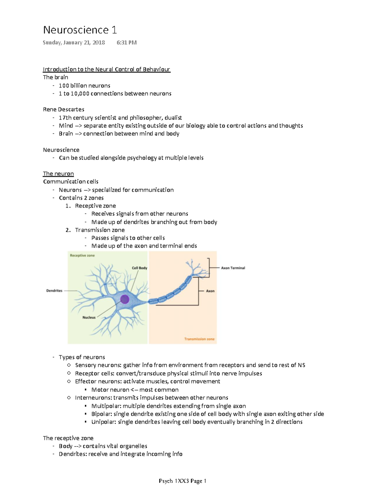 Neuroscience 1 Module Notes Lecture Notes Warning Tt Undefined Function 32 Warning Tt