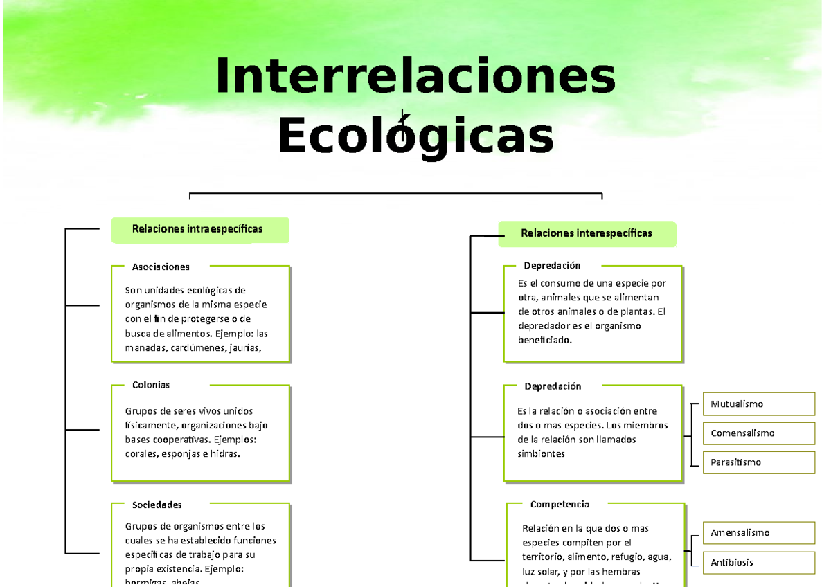 Interrelaciones Ecológicas de los seres vivos - Biología General I ...
