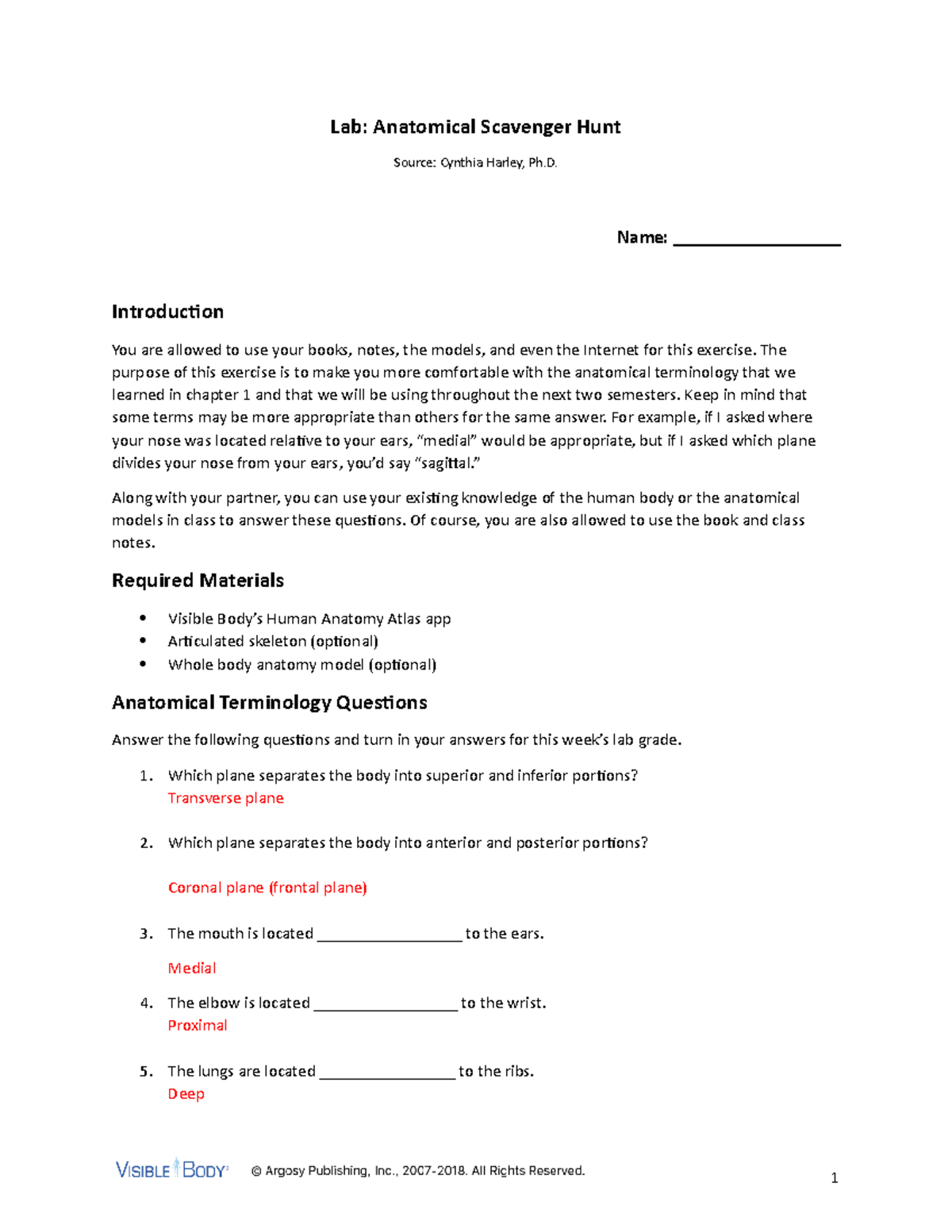 Lab Anatomical Scavenger Hunt Answer Key