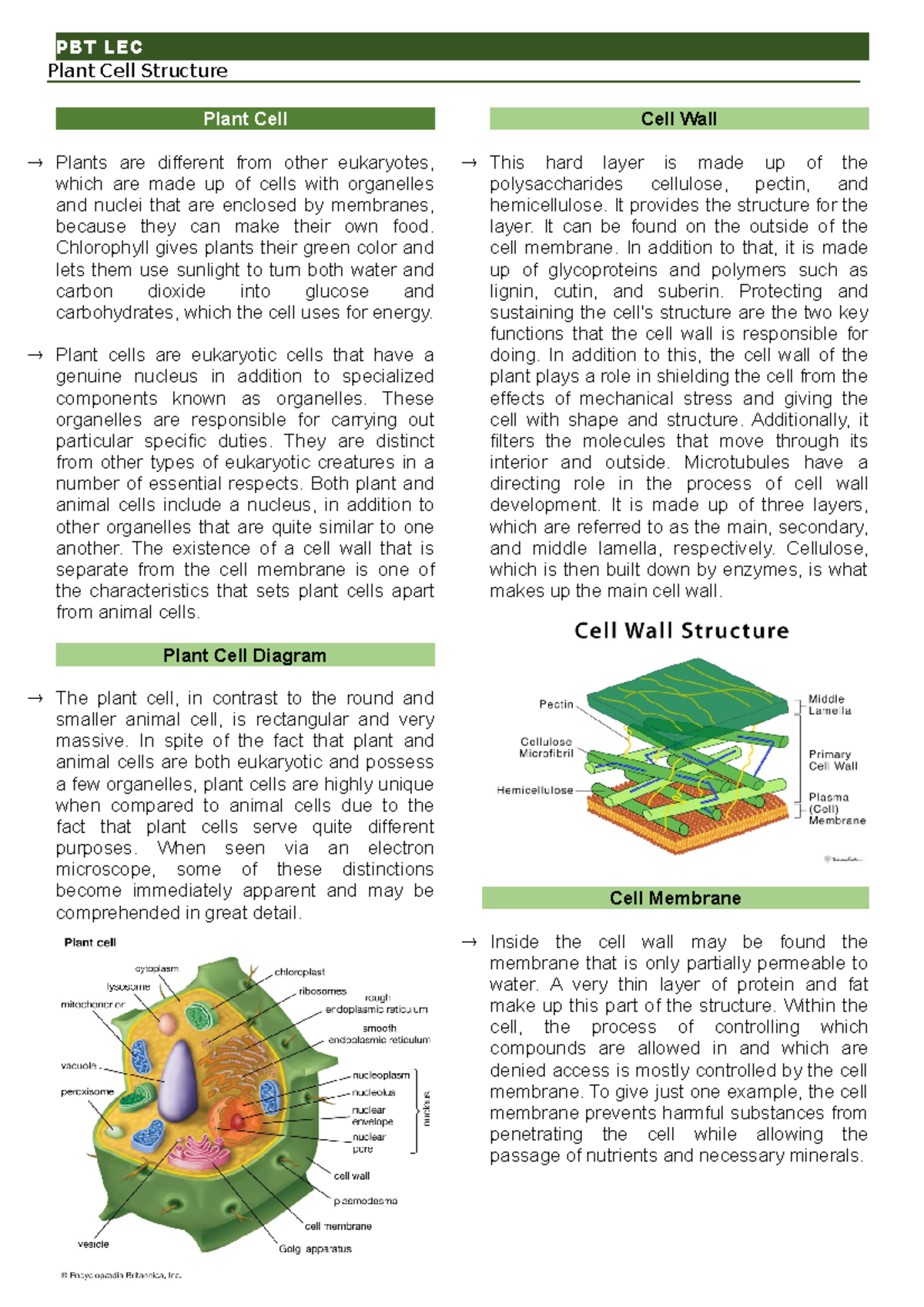 Topic 7 Plant Cell Structure - PBT LEC Plant Cell Structure Plant Cell ...