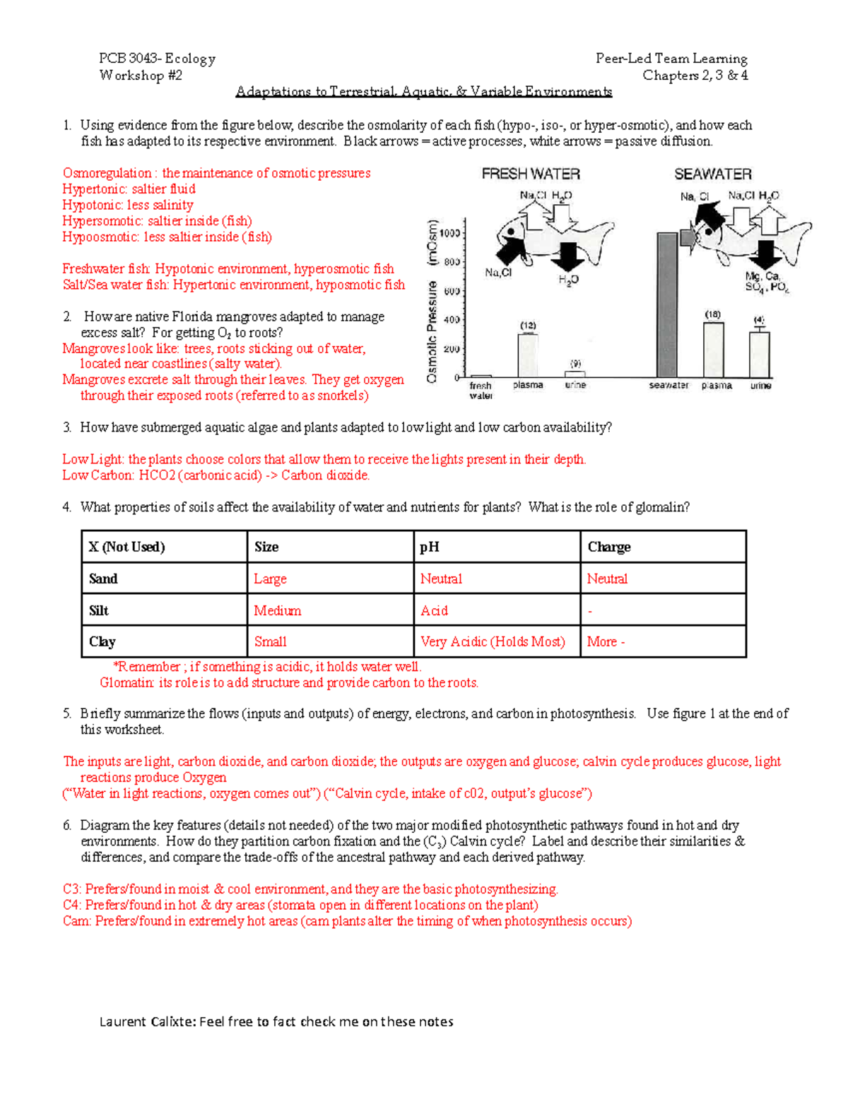 PLTL Notes - Ecology Pltl #2 (PDF) - PCB 3043- Ecology Peer-Led Team ...